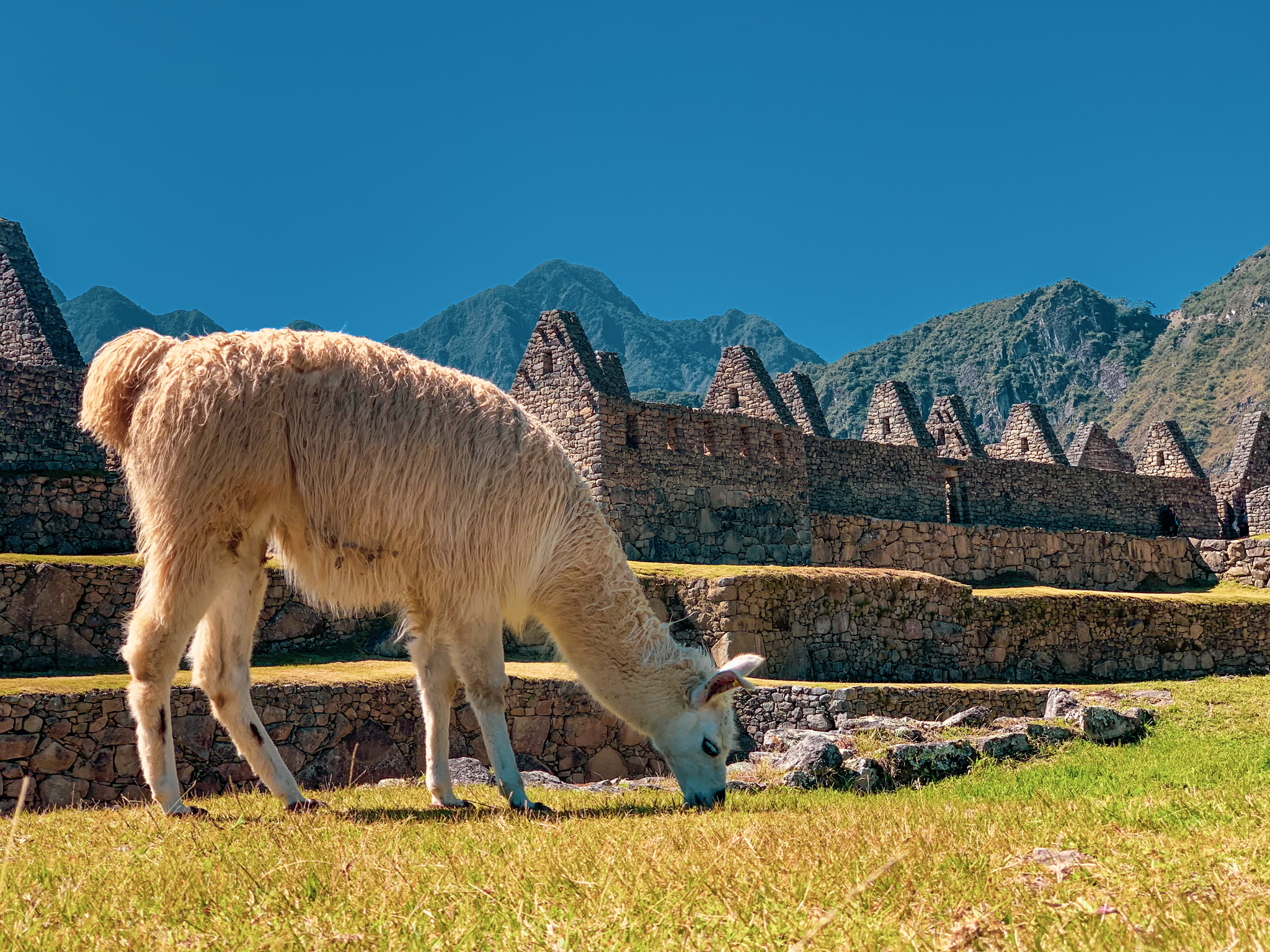 Machu Picchu, une cité inca sacrée ? - Histoire à sac à dos